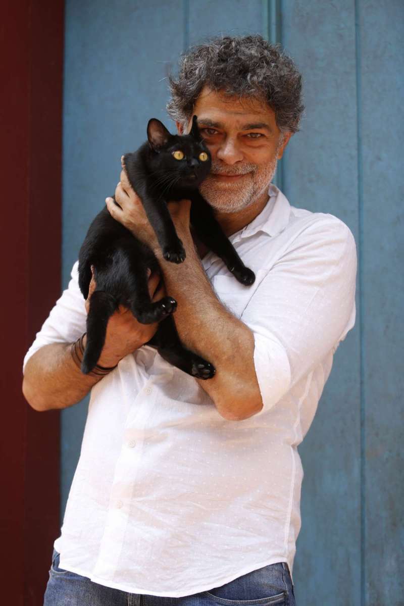Quem é o gato? MH - Televisão