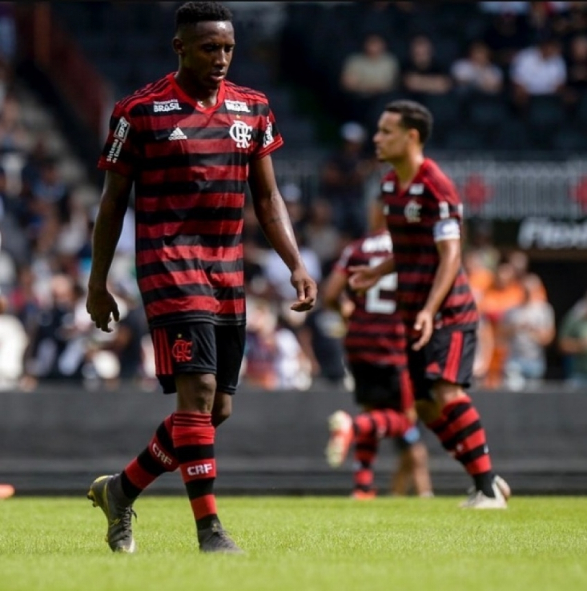 Após intenso trabalho para se recuperar a tempo, Yuri César será ...