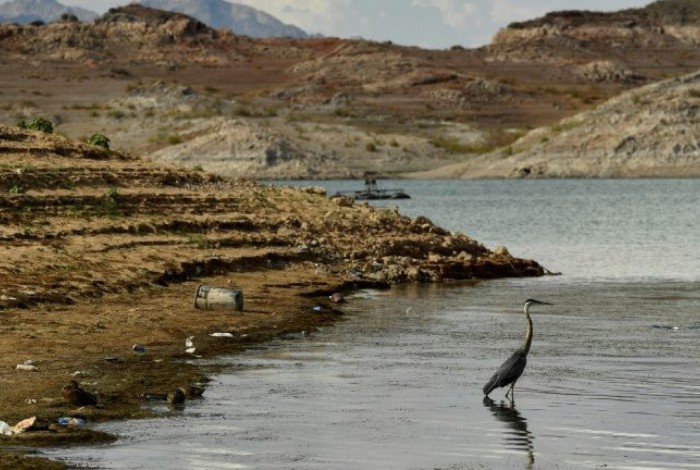 Califórnia apresenta contraproposta para proteger represas afetadas ...
